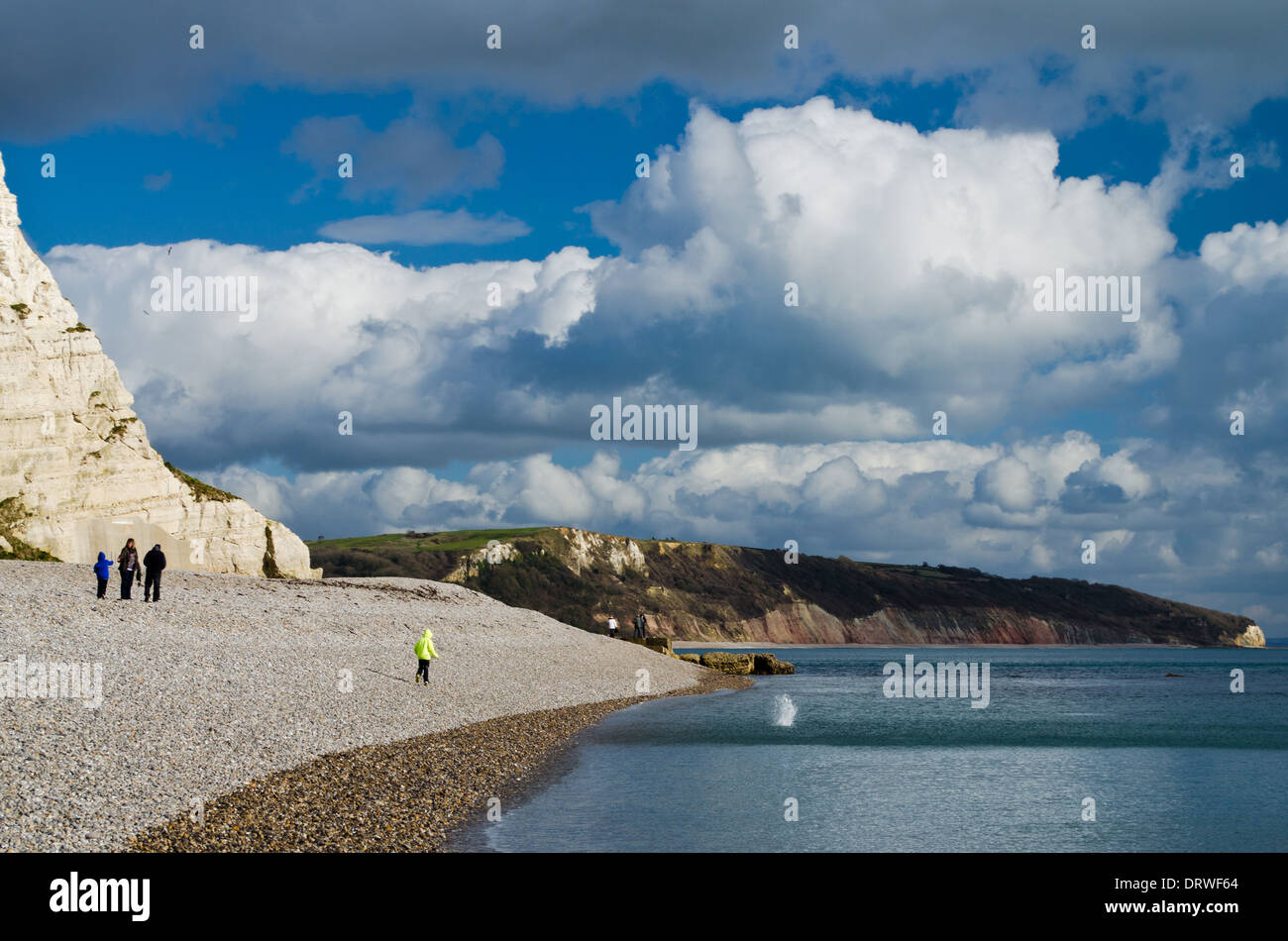 Beer in devon hi-res stock photography and images - Alamy