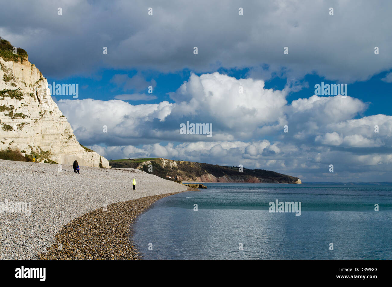 The coast near Beer in Devon Stock Photo - Alamy