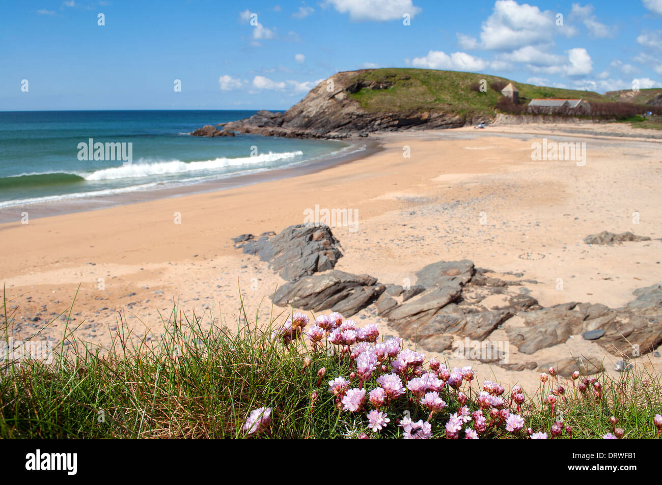 Gunwalloe church cove near Helston In Cornwall, UK Stock Photo - Alamy