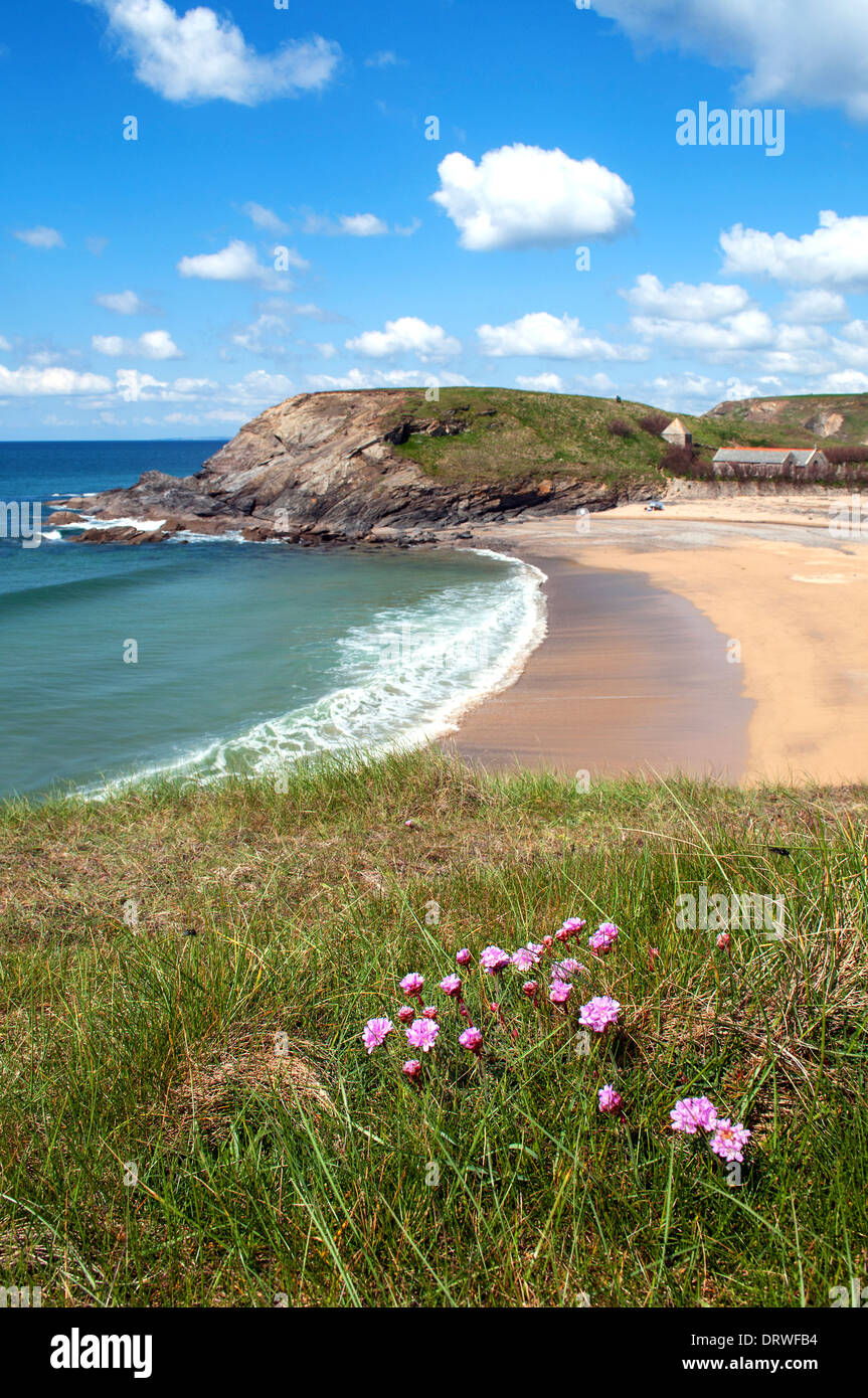 church cove, gunwalloe, cornwall, england, uk Stock Photo - Alamy