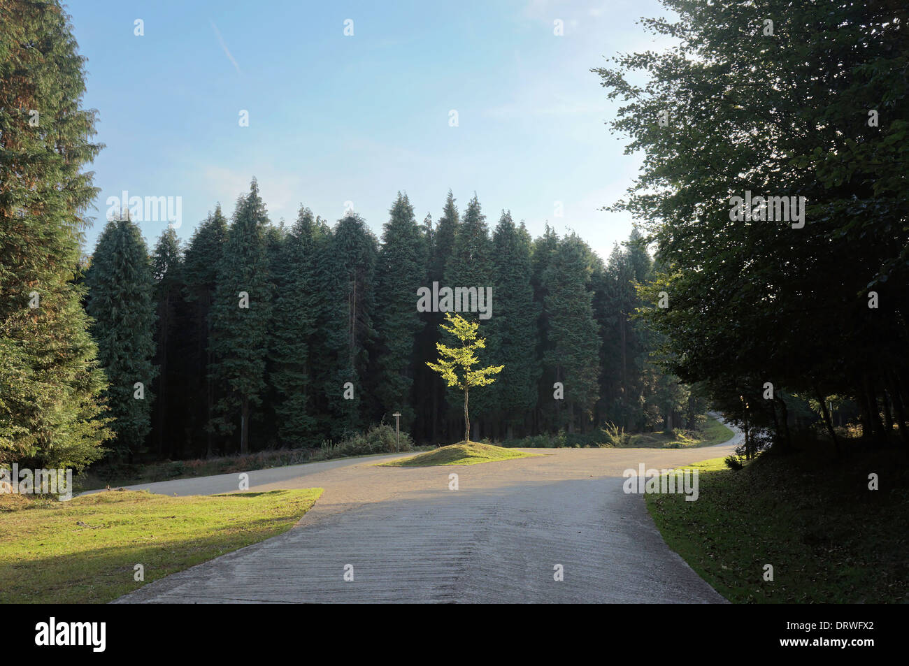 Two lane county road hi-res stock photography and images - Alamy