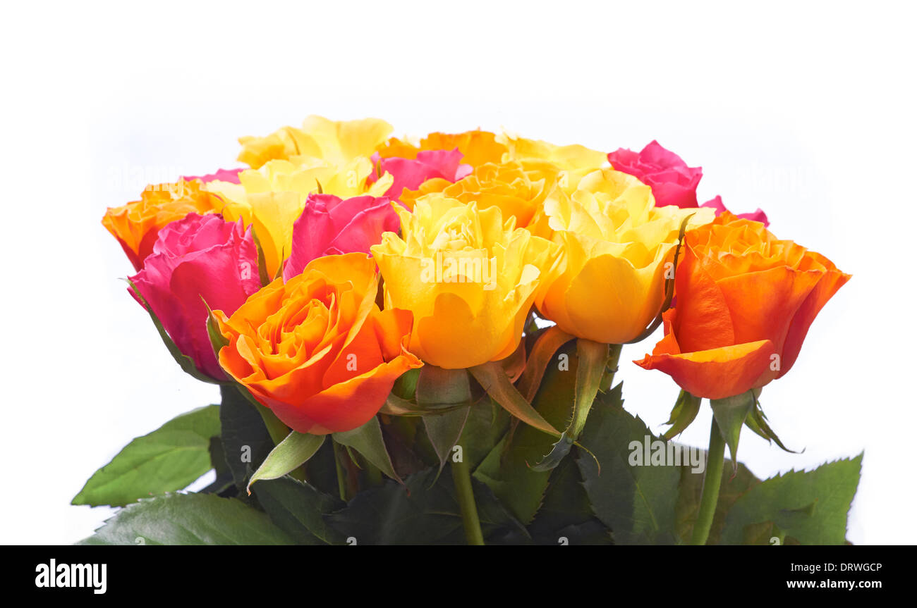 Colourful roses hi-res stock photography and images - Alamy