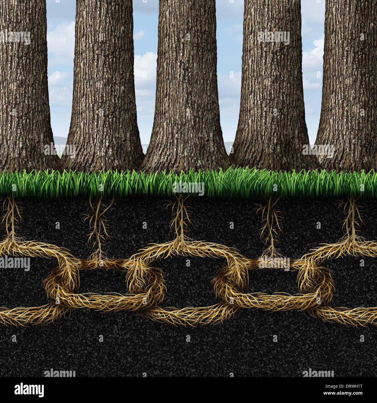 Unbreakable solidarity and teamwork cooperation concept as a group of ...