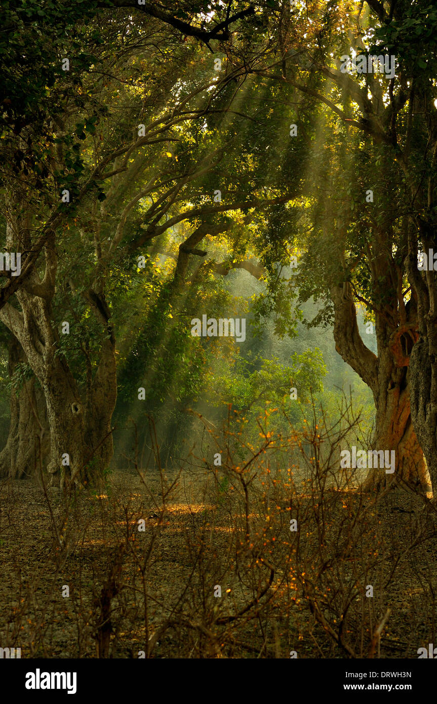 Fresh outdoor scene hi-res stock photography and images - Alamy