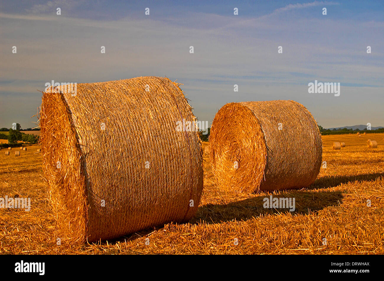 Straw bales field hi-res stock photography and images - Alamy