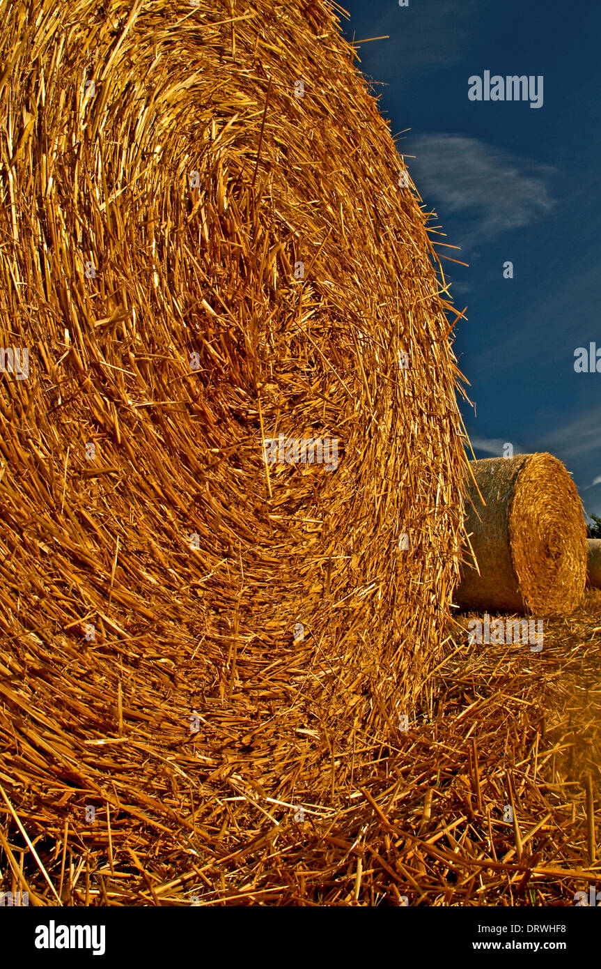 Straw bales in the field after harvest hi-res stock photography and ...