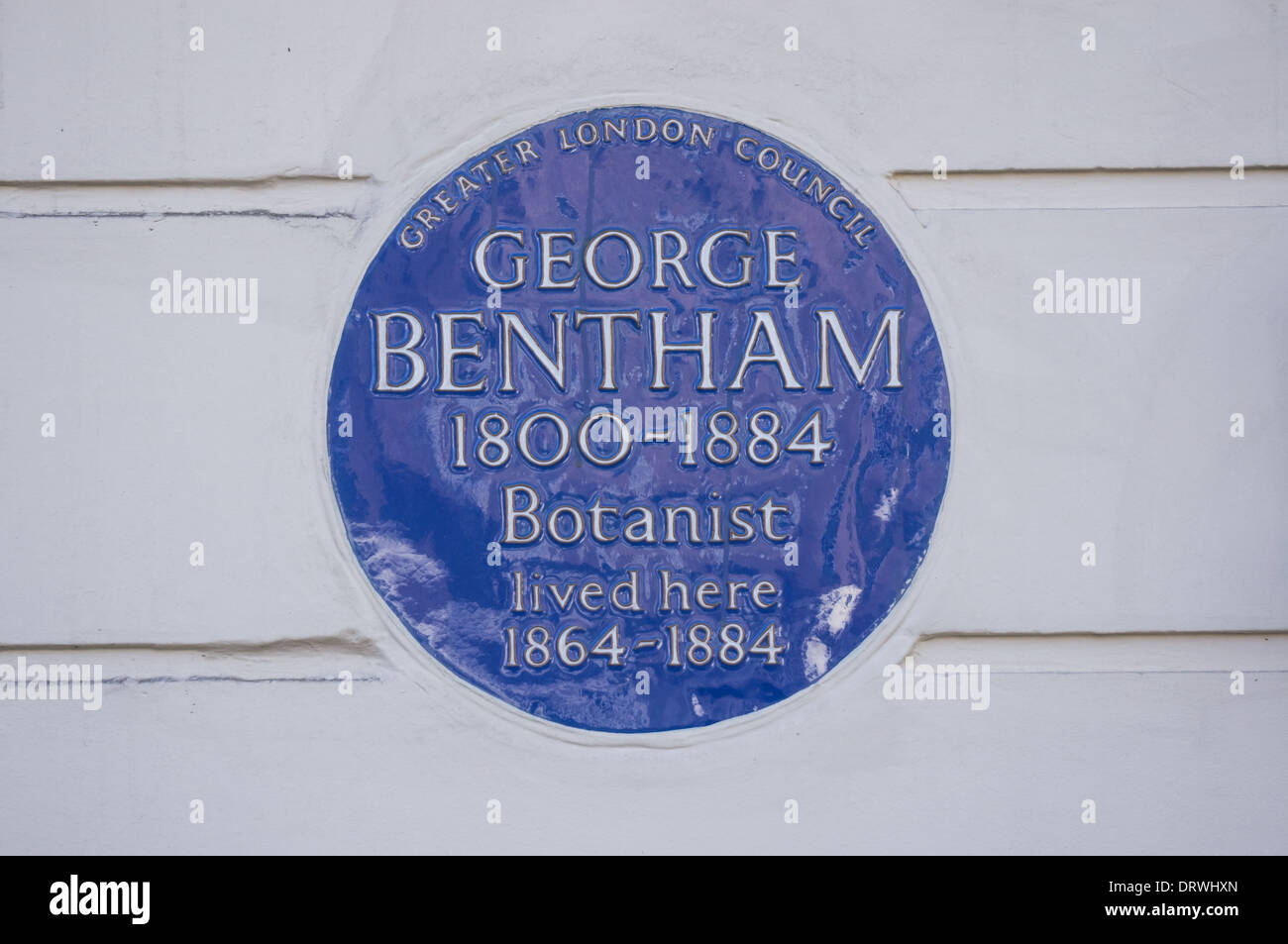 Blue Plaque of George Bentham, London England United Kingdom UK Stock ...