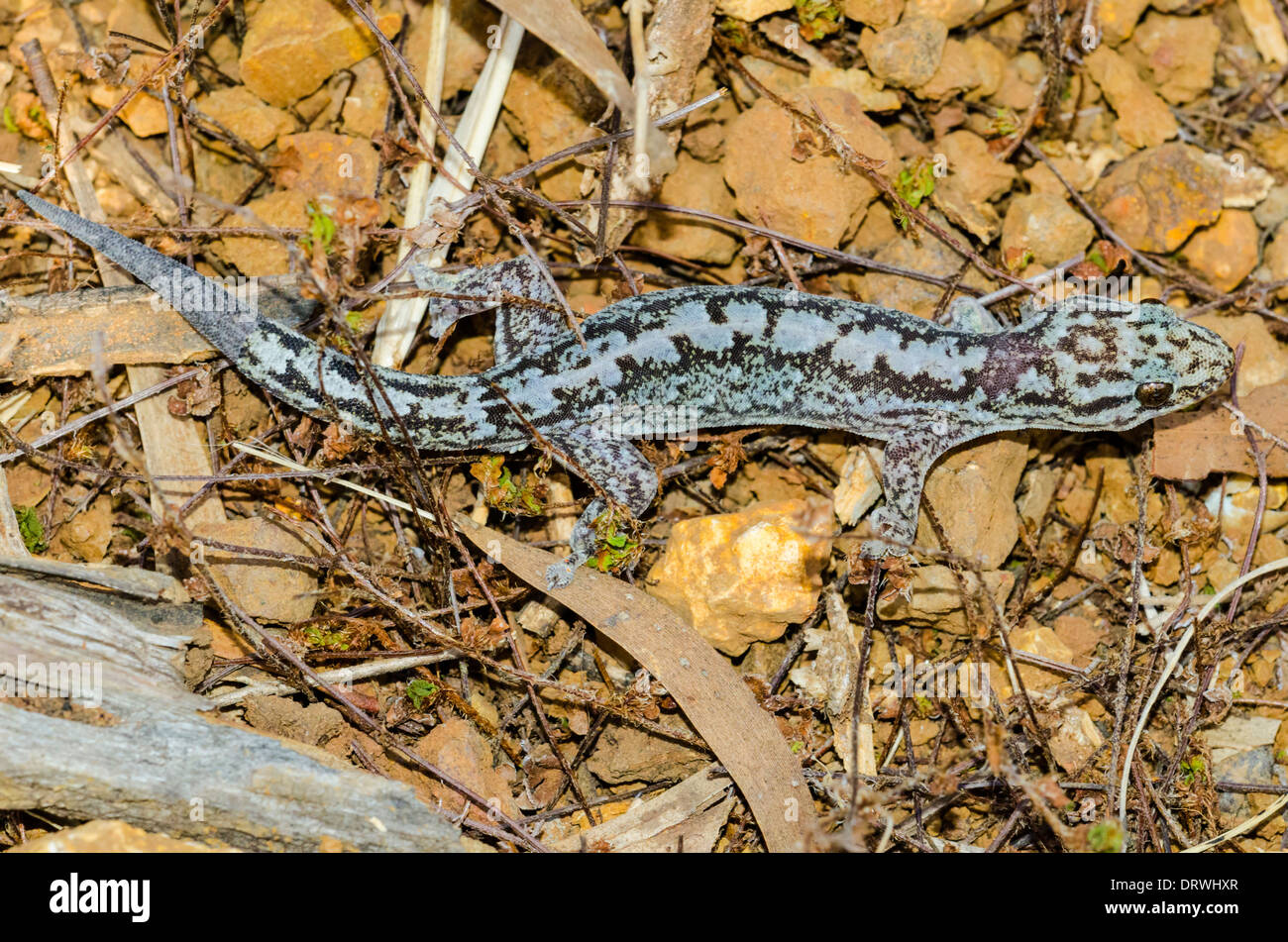 Backed chain hi-res stock photography and images - Alamy