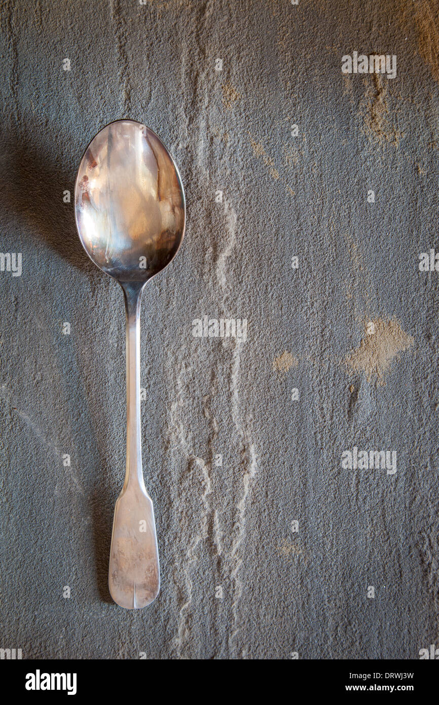 Seafood Serving Spoon