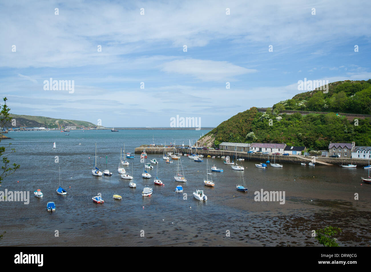 Fishguard Harbour in Pembrokeshire, West Wales Stock Photo - Alamy