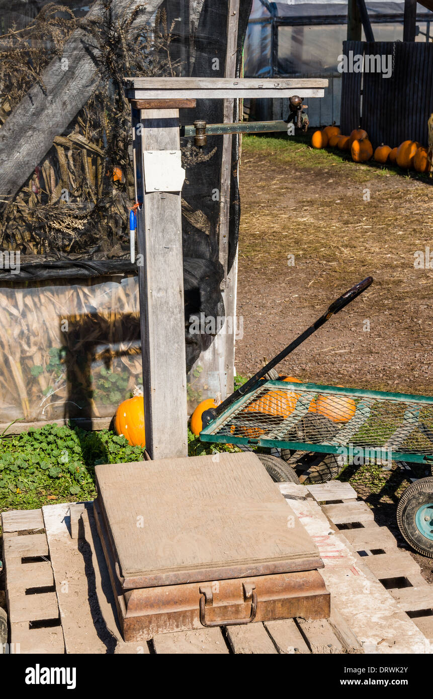 Scale platform hi-res stock photography and images - Alamy