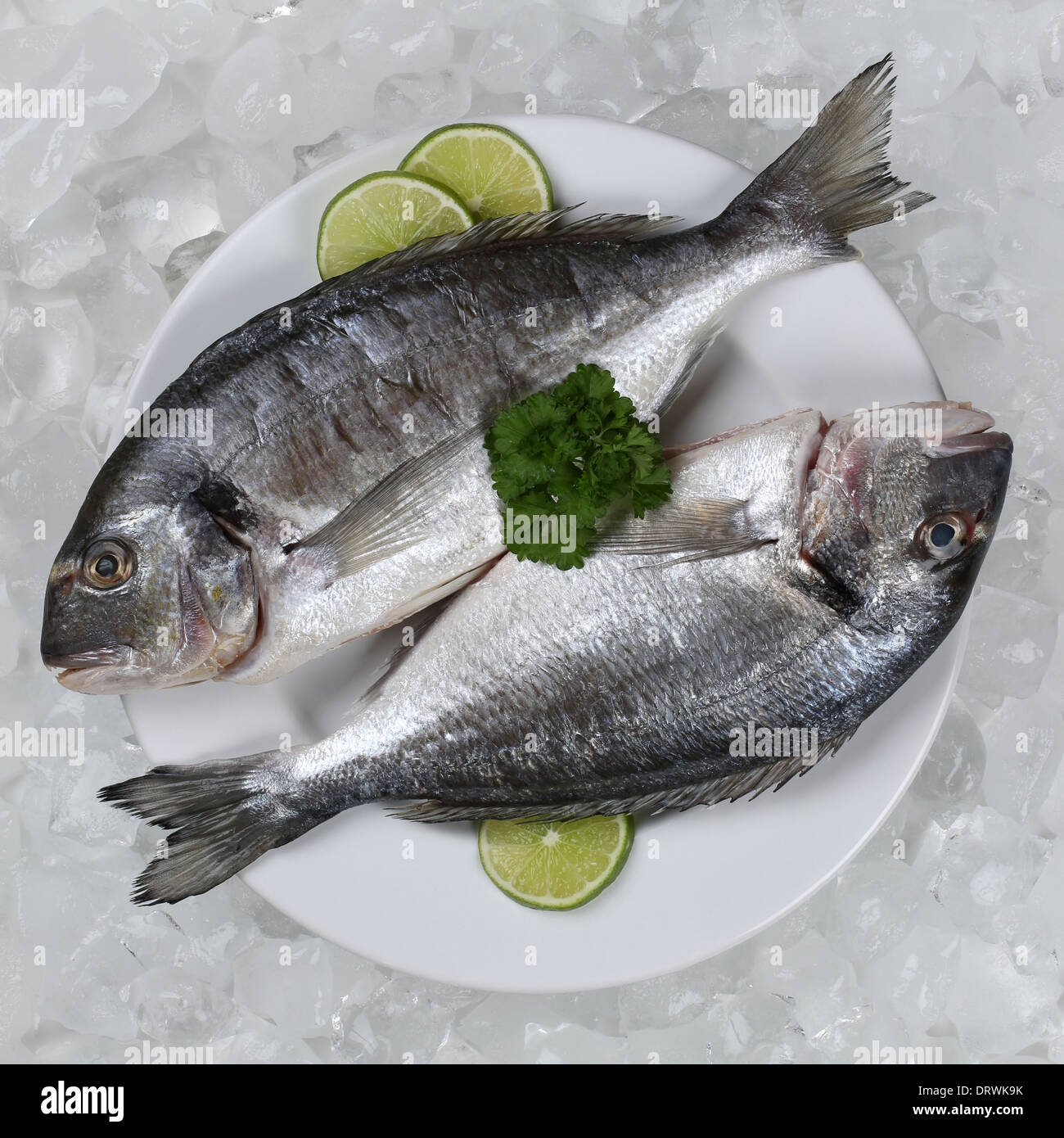 Fish head on the plate hi-res stock photography and images - Alamy