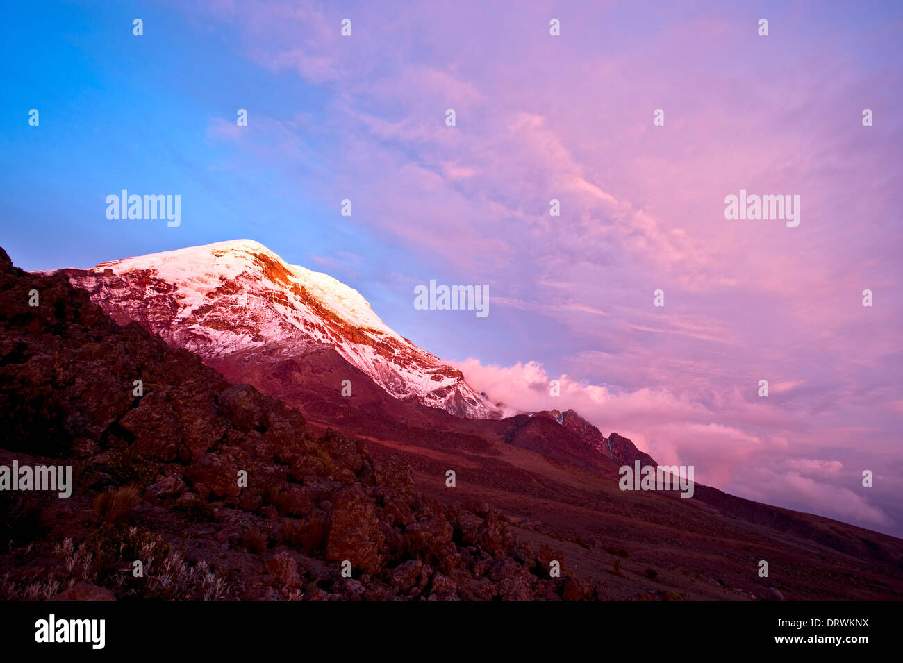 Sunset on the mighty Chimborazo Volcano. Ecuador's highest summit Stock ...