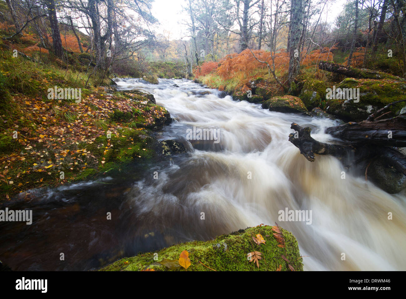 Uk landscape scottish burn hi-res stock photography and images - Alamy