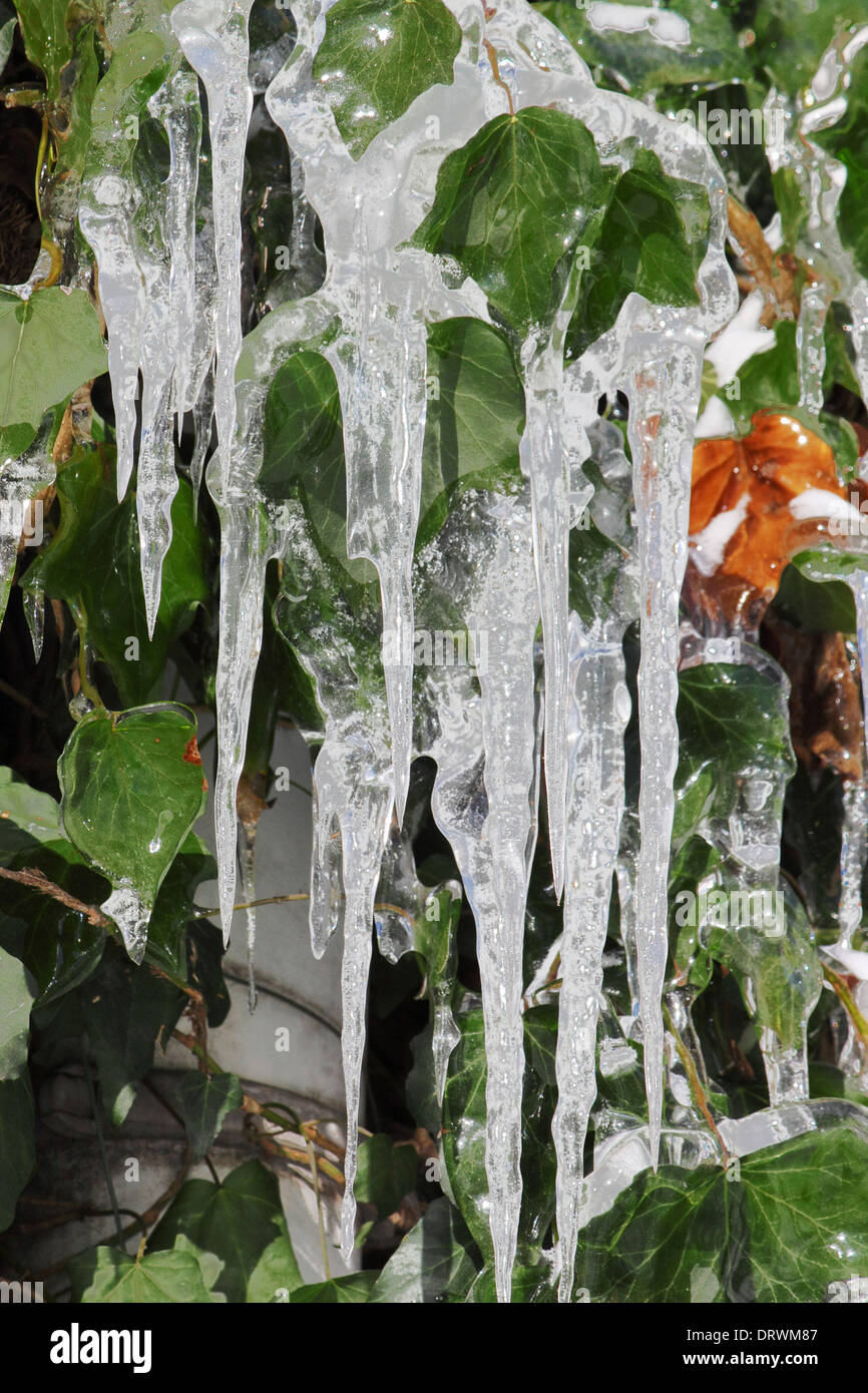 All weather green hi-res stock photography and images - Alamy