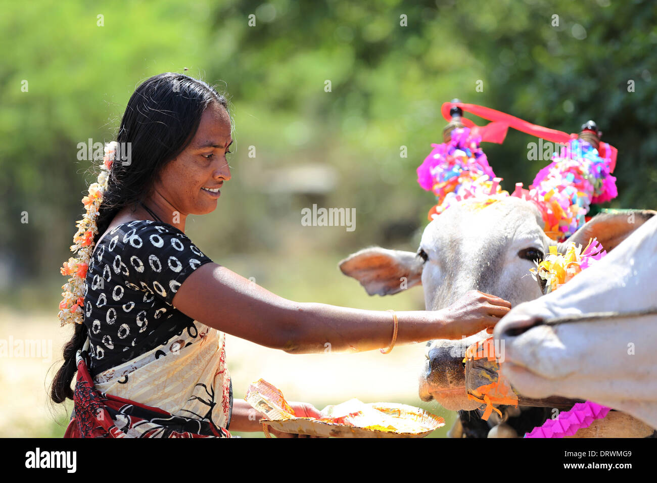 Indian ceremony dedicated to Devi - preparation of the statue of Devi ...