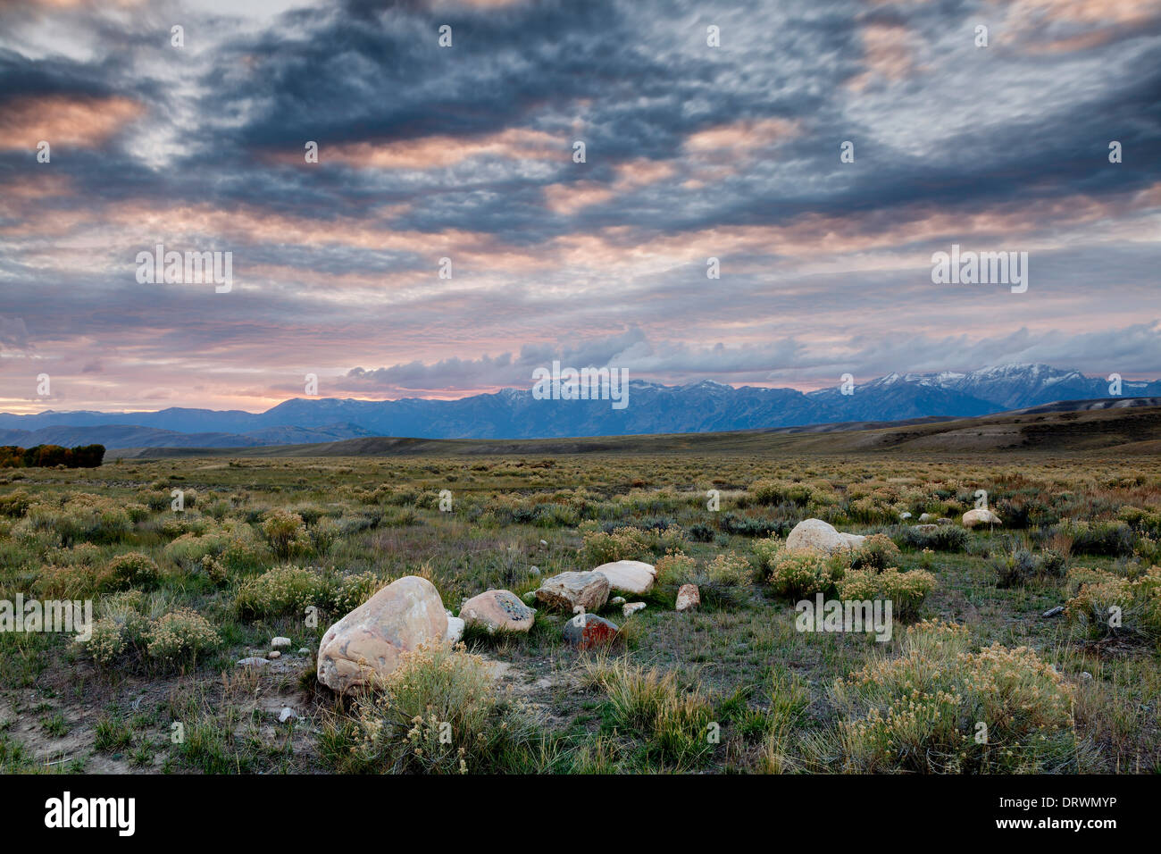 High desert rocks hi-res stock photography and images - Alamy