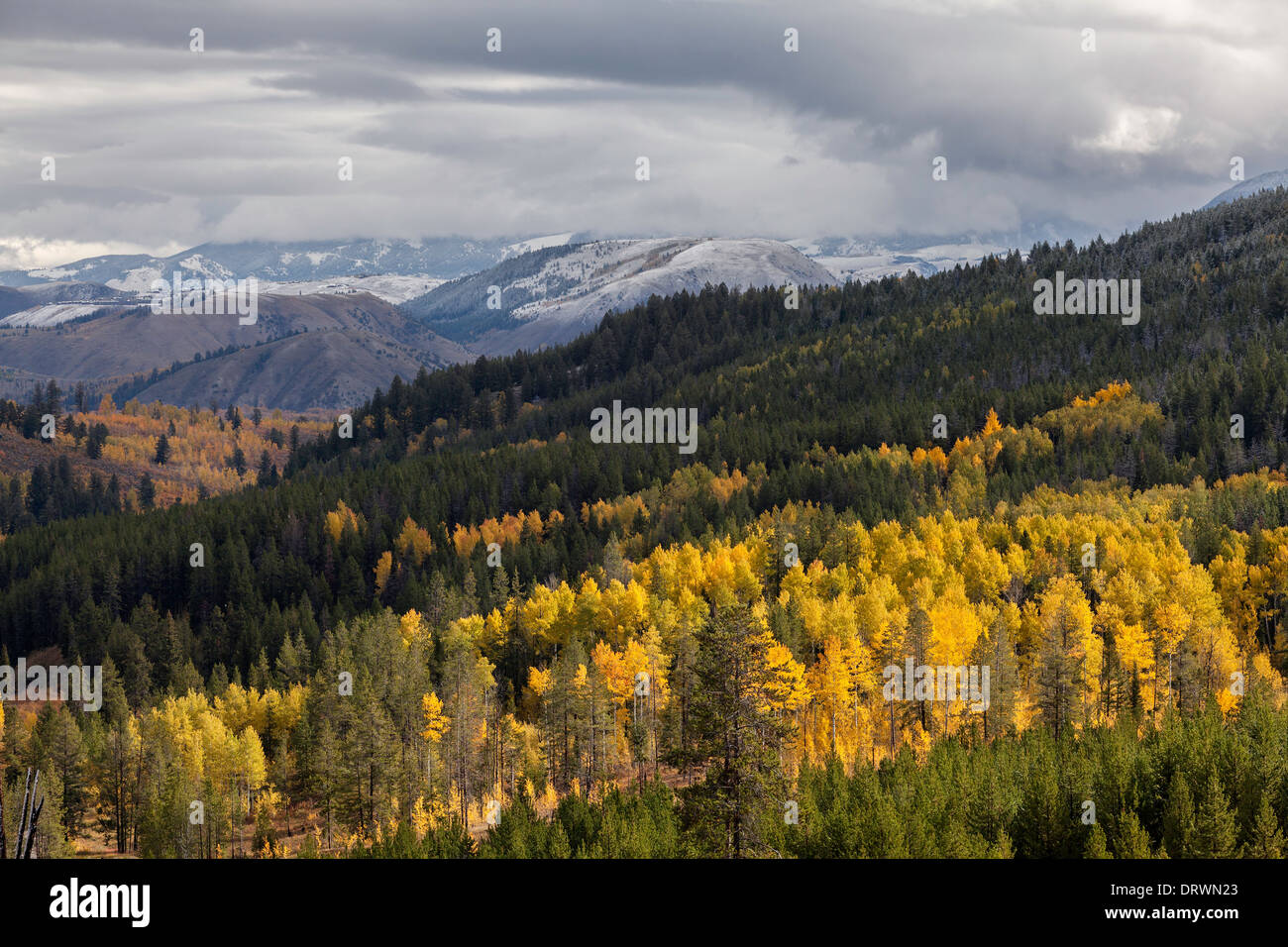 Seasons of change hi-res stock photography and images - Alamy