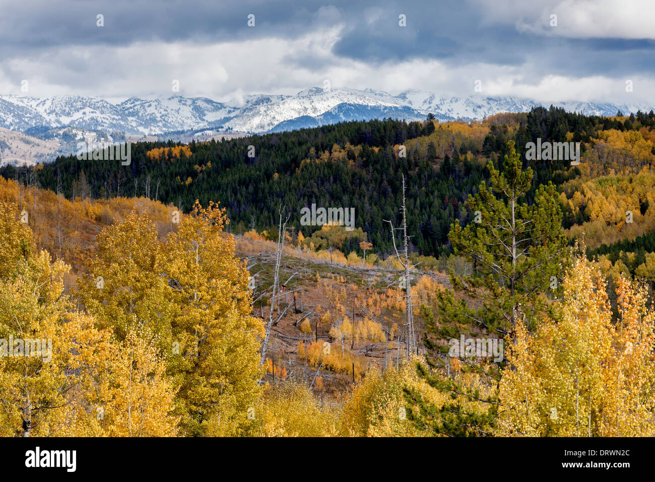 Seasons change hi-res stock photography and images - Alamy