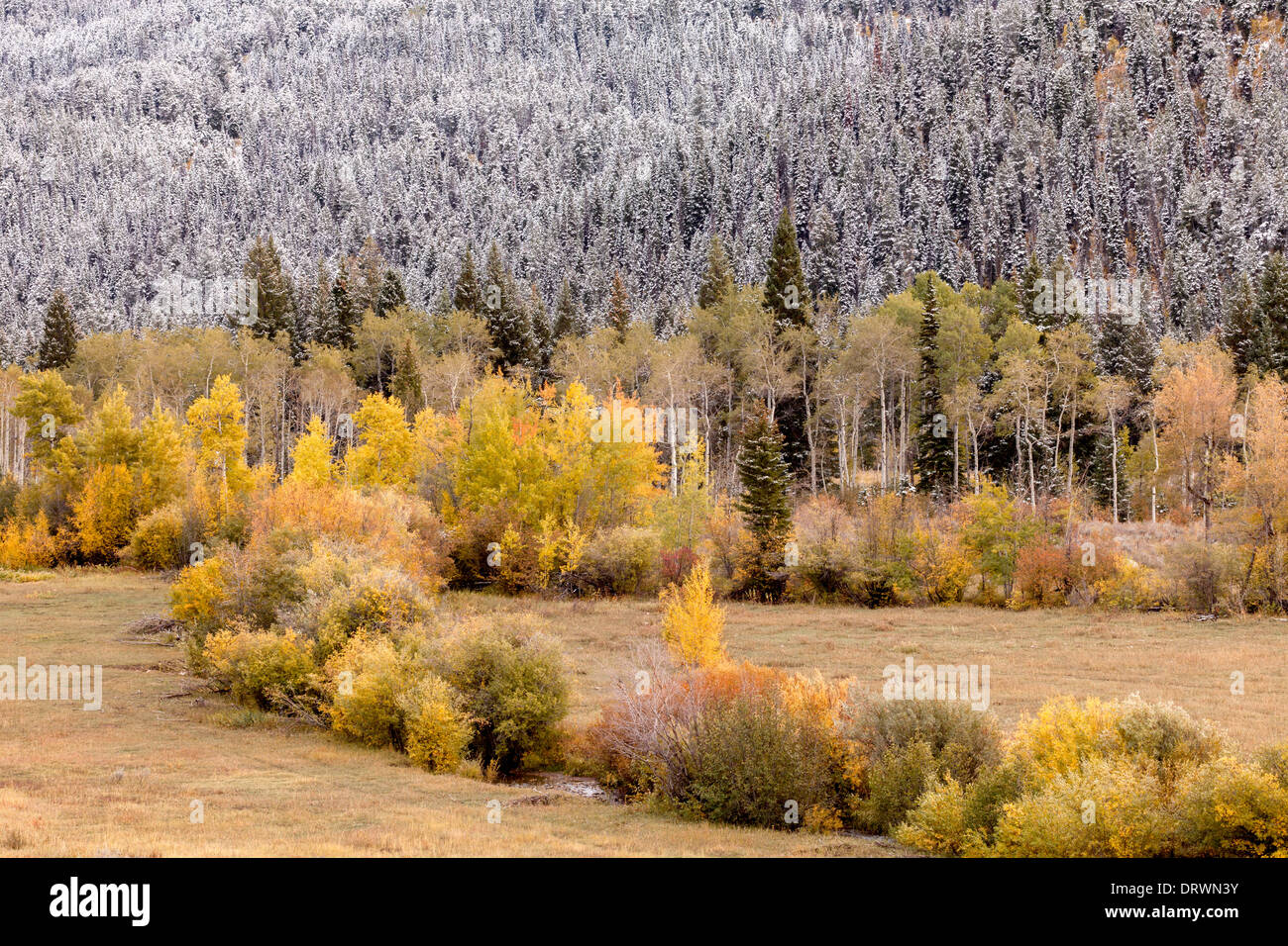 Autumn colors and snow hi-res stock photography and images - Alamy