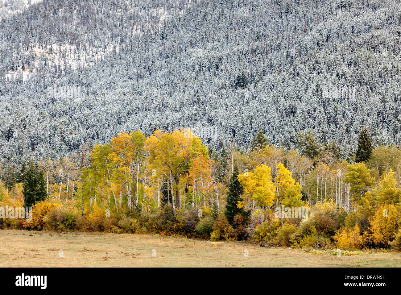 Autumn winter fall hi-res stock photography and images - Alamy