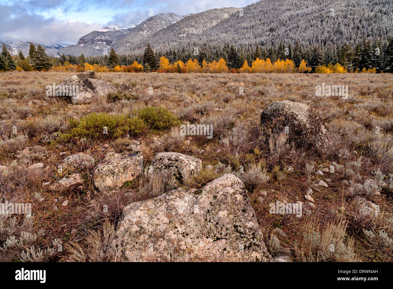 High desert on the edge between autumn and winter Stock Photo - Alamy