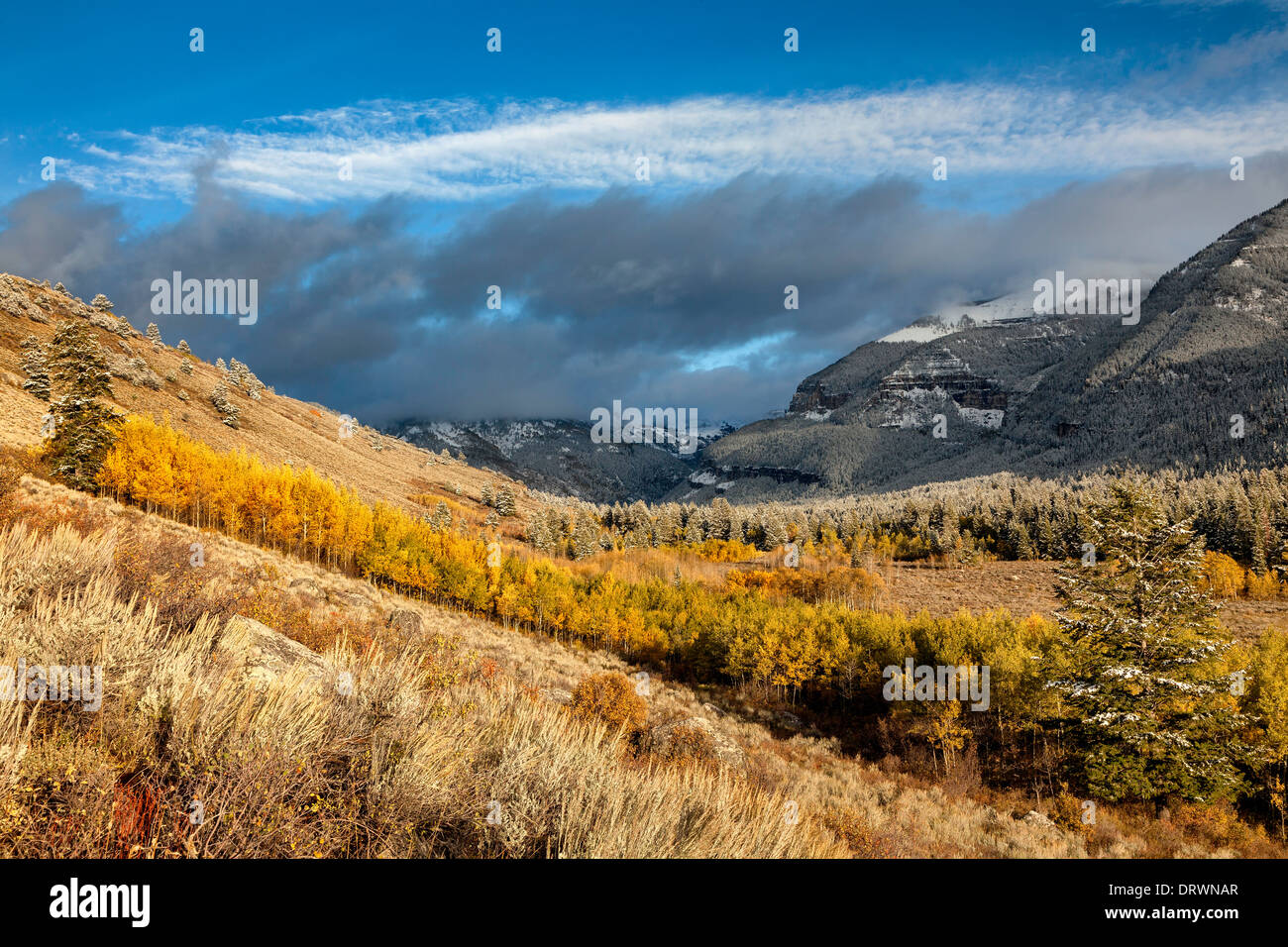 Fall color in Idaho Stock Photo - Alamy