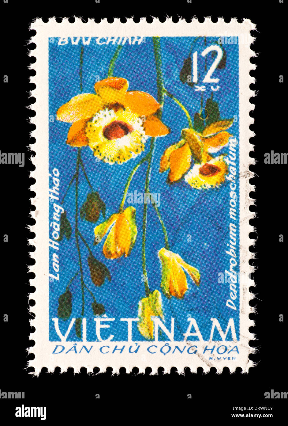 Postage stamp from Vietnam depicting an orchid (Dendrobium meschatum ...