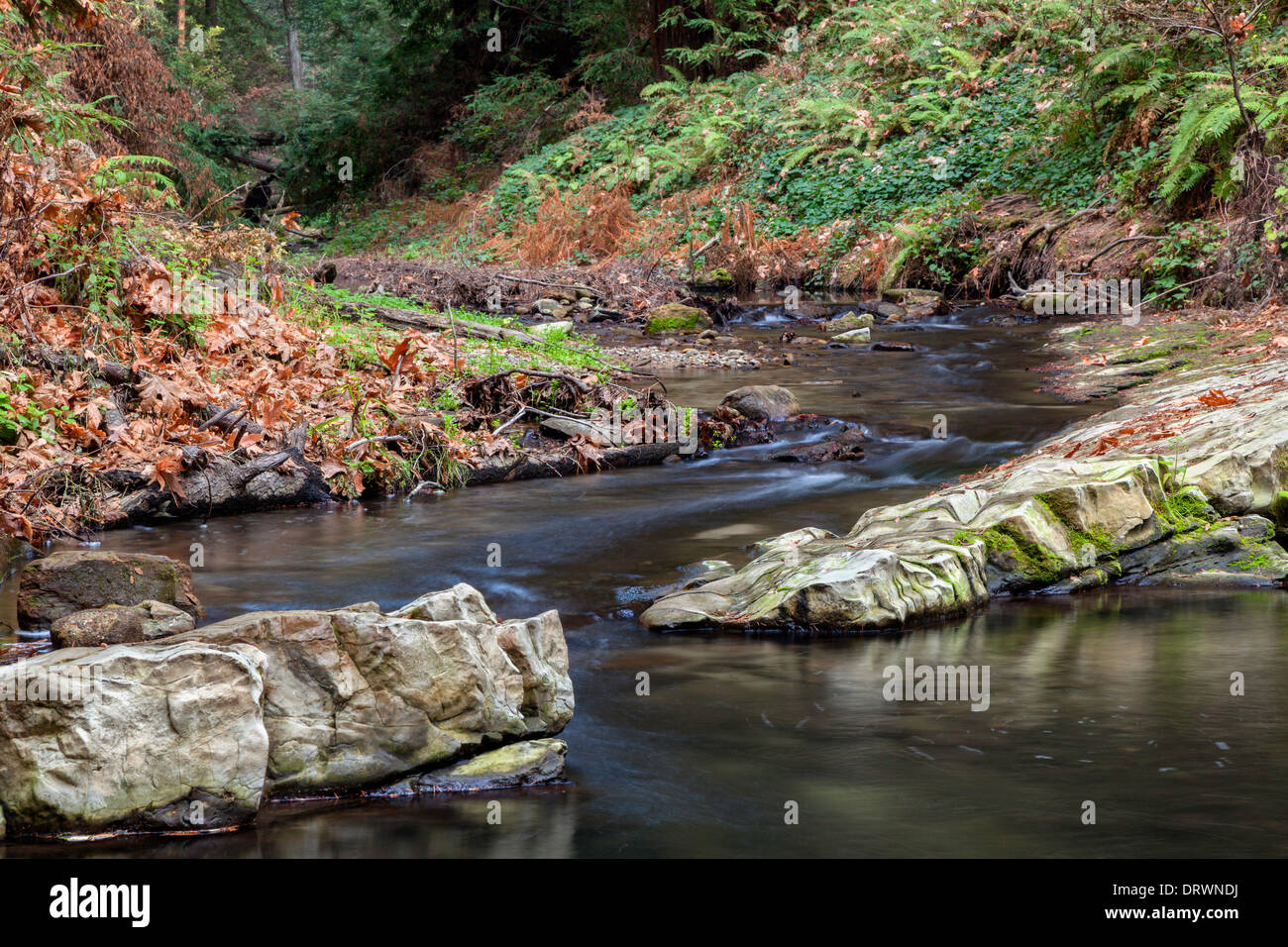 Winding Stream Stock Photos & Winding Stream Stock Images - Alamy
