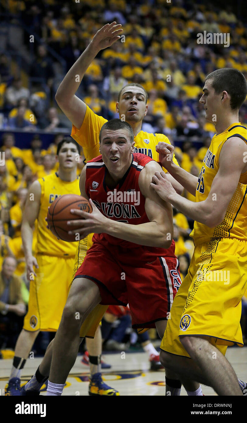 Berkeley, CA, USA. 1st Feb, 2014. Feb 01 2014 - Berkeley CA, U.S ...