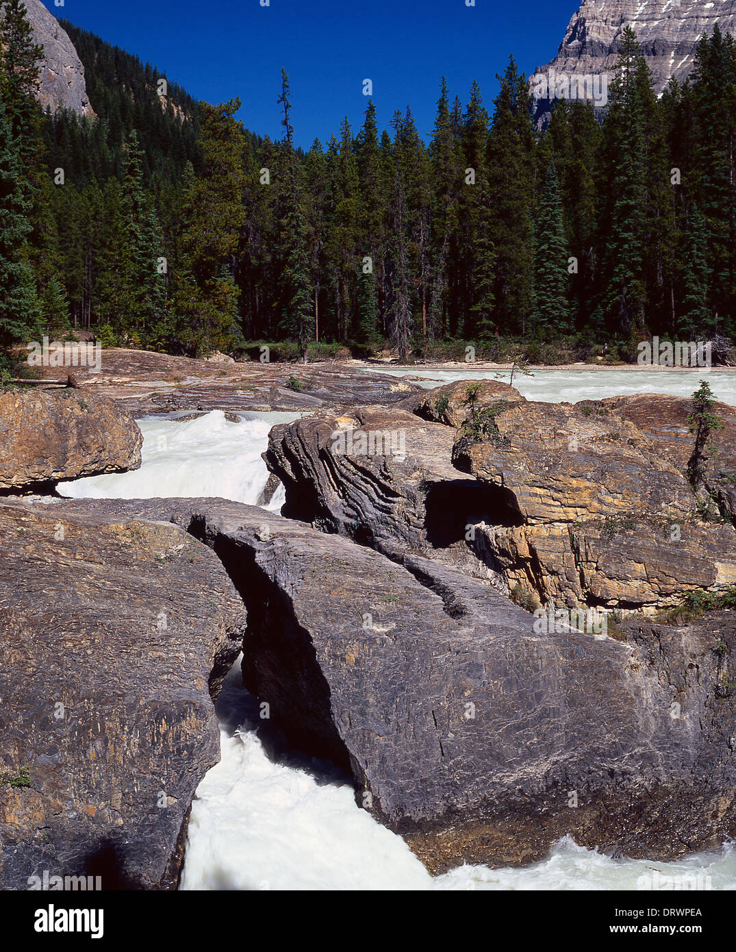 Natural Rock arch bridge on the Kicking Horse River, Yoho National park ...