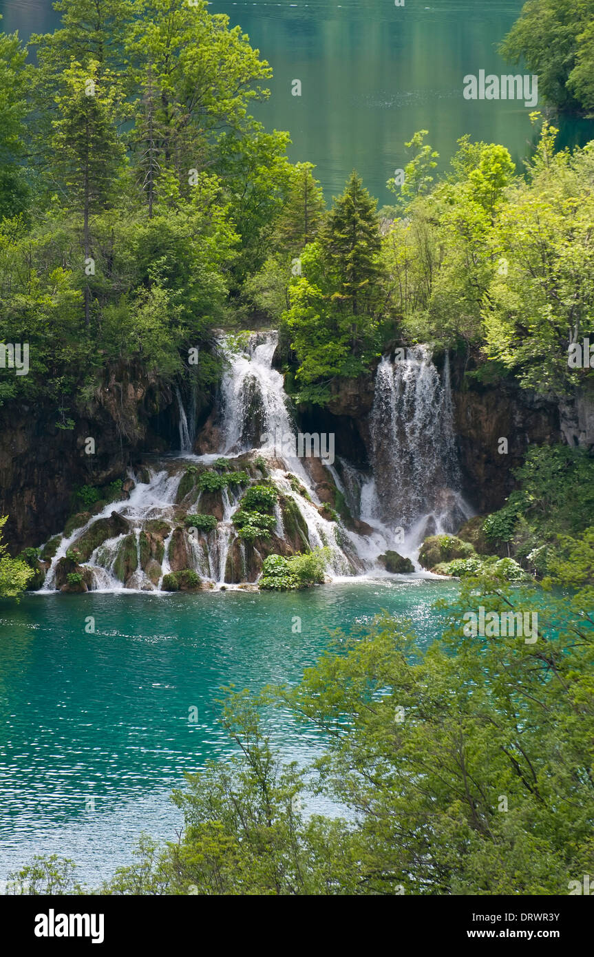 Waterfall in forest plitvice lakes hi-res stock photography and images ...