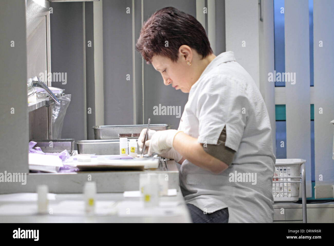 histology samples preparing in a pathology labor Stock Photo - Alamy