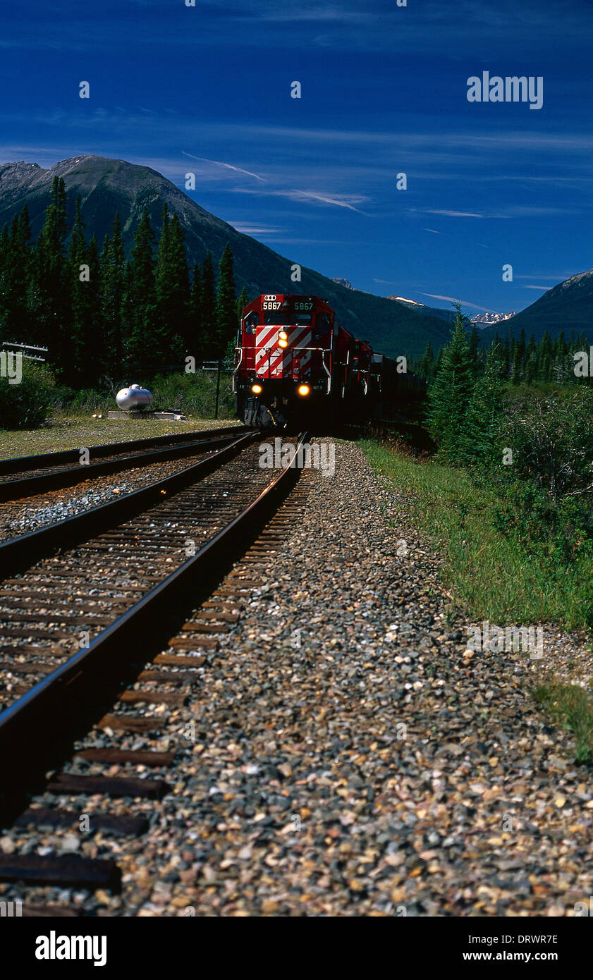 Canadian Train going through Banff National Park Stock Photo - Alamy