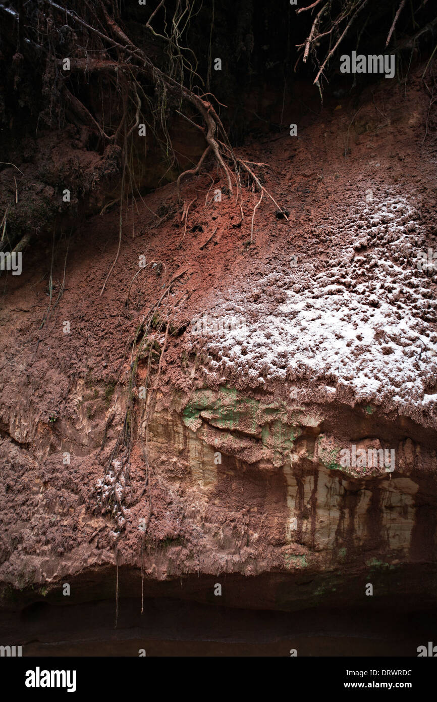 Erosion roots hi-res stock photography and images - Alamy