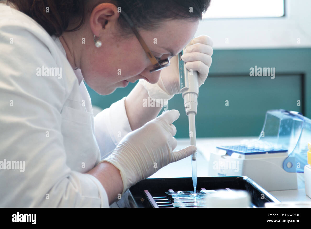 young woman Caucasian person young pipetting in a labor with a ...
