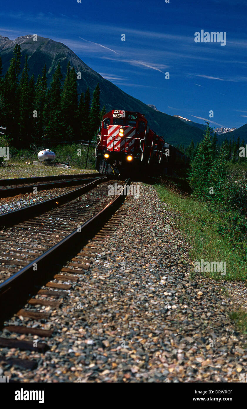 Canadian Train going through Banff National Park Stock Photo - Alamy