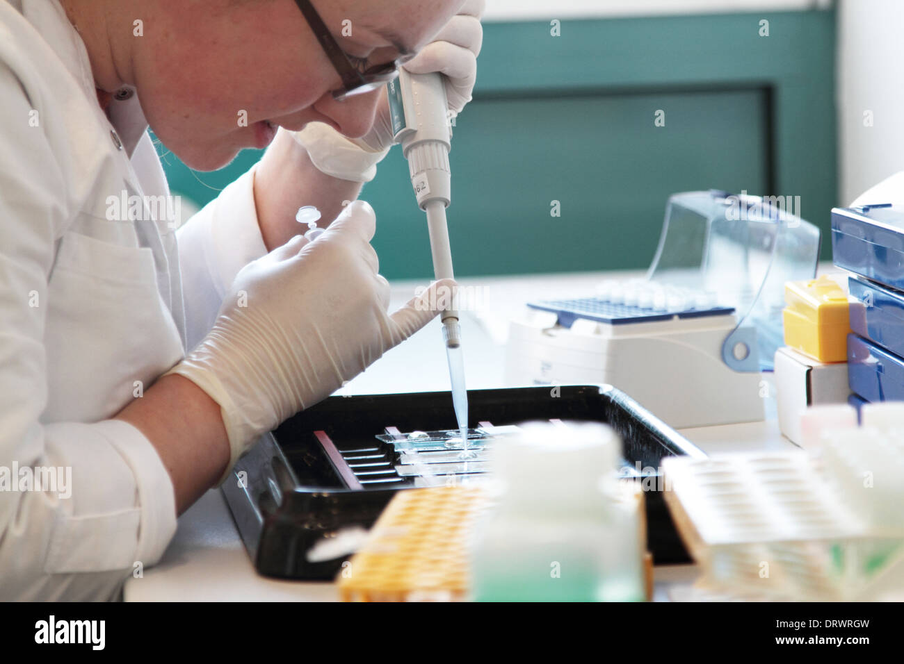 young woman Caucasian person young pipetting in a labor with a ...