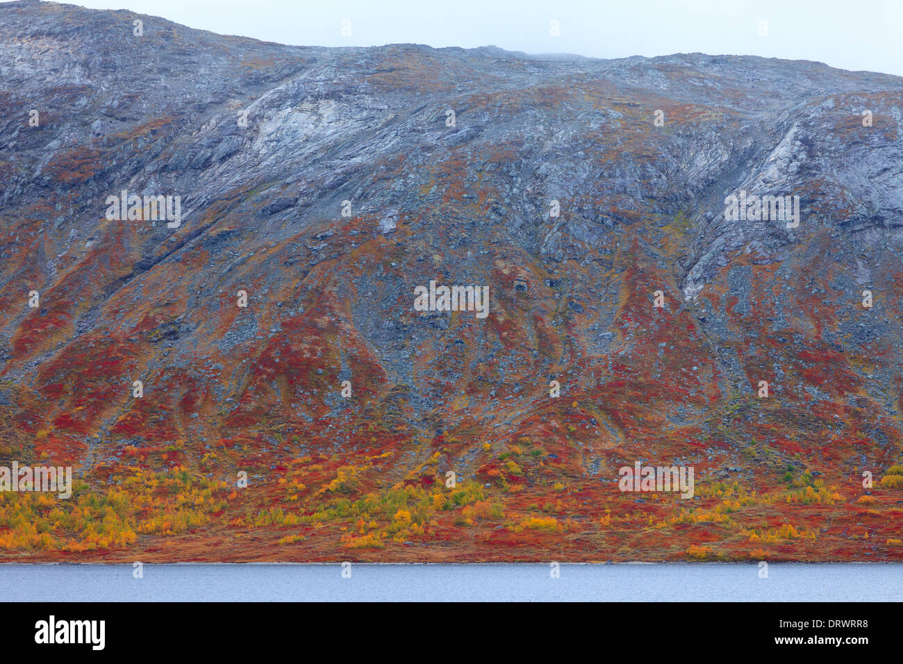 Norway mountain forest autumn fall hi-res stock photography and images ...