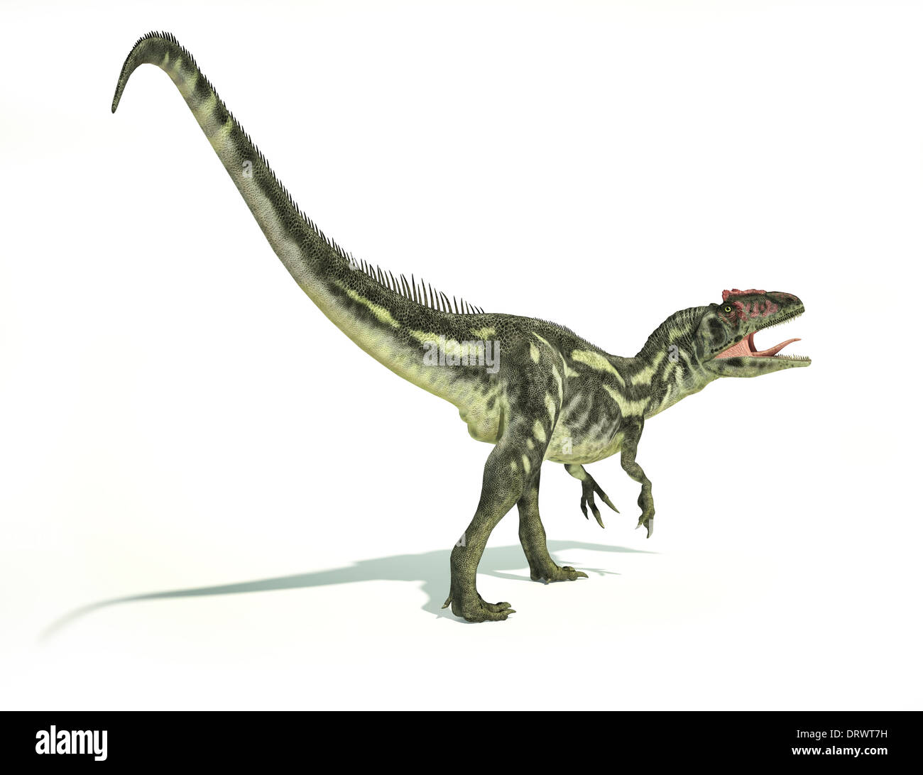Allosaurus Dinosaur, photorealistic and scientifically correct ...