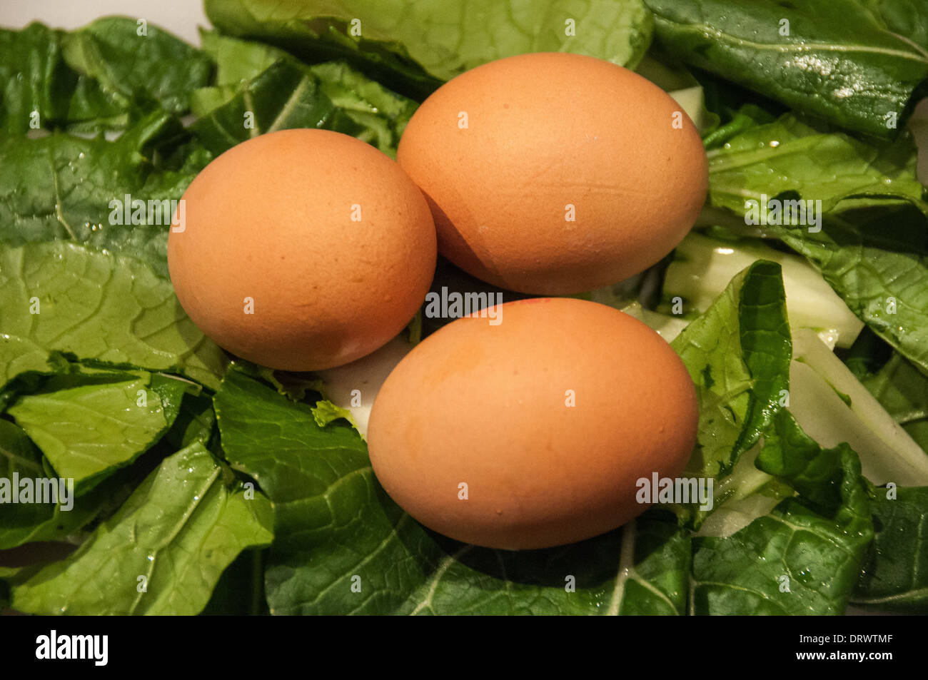 Three shells hi-res stock photography and images - Alamy