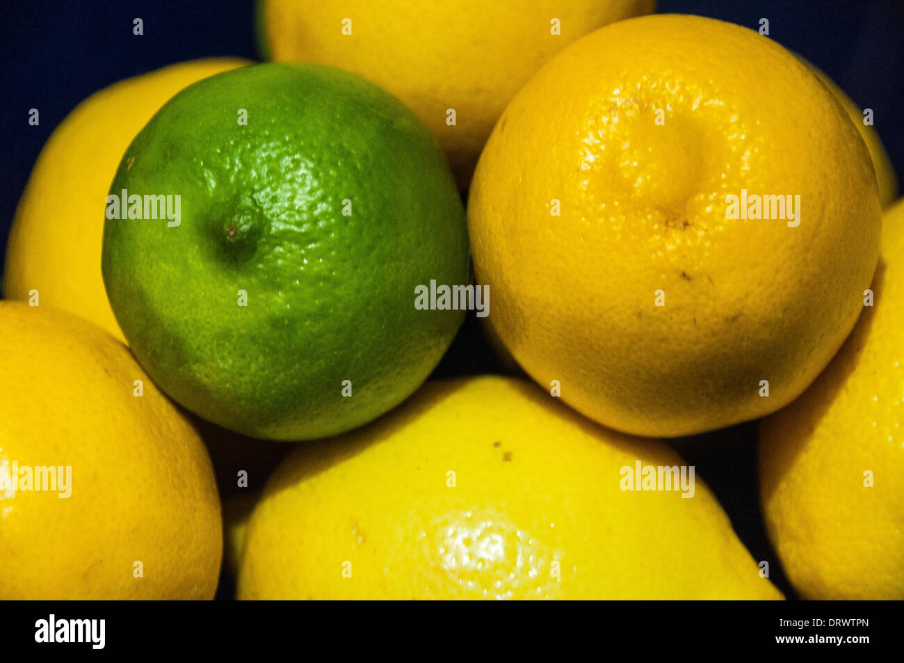 lemon fruit lime fruit fresh lemons stacked up Stock Photo - Alamy