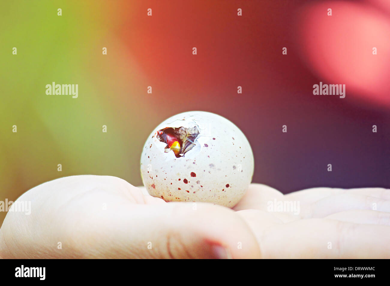 life in hand Stock Photo - Alamy