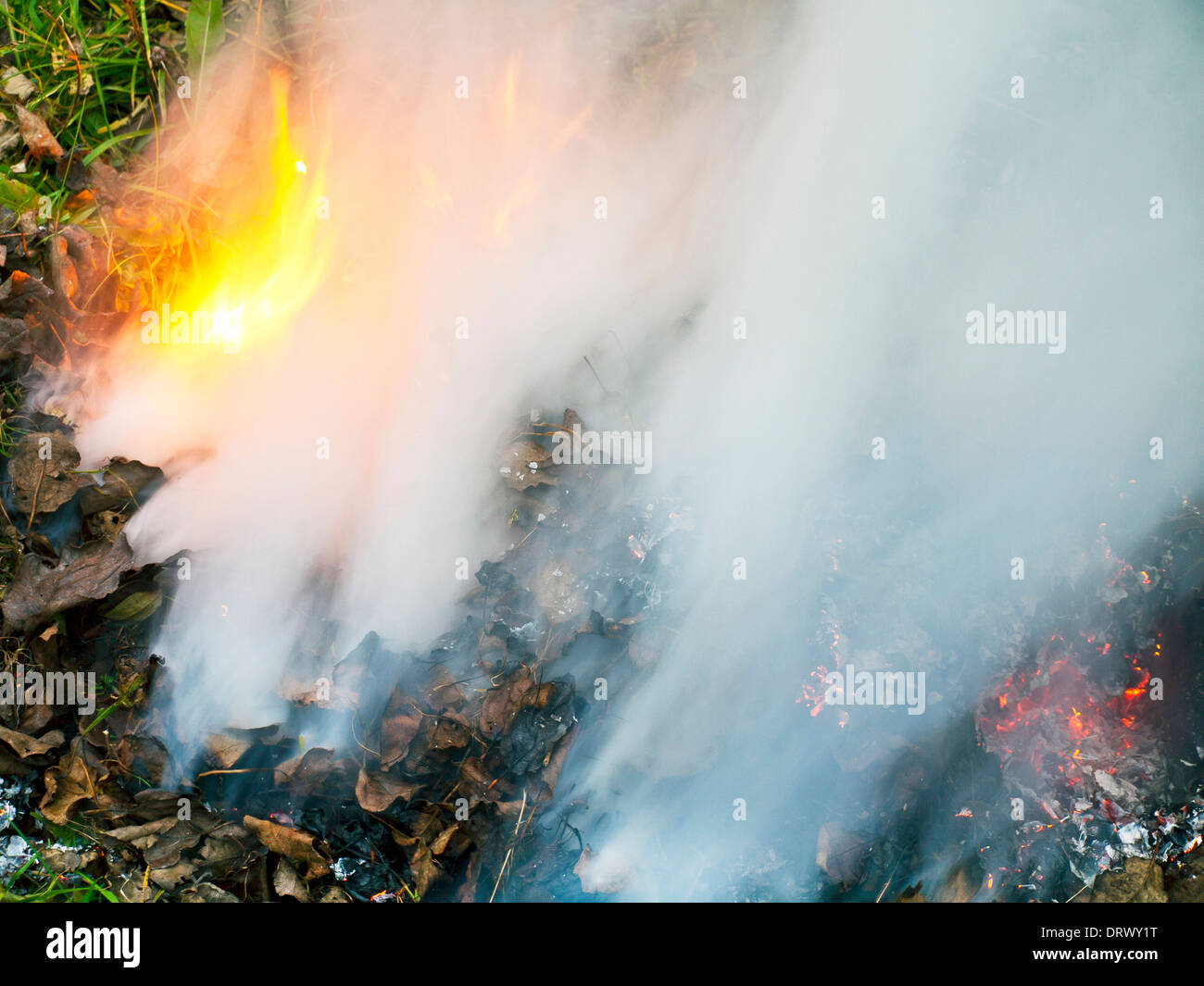 burning dry leaves Stock Photo - Alamy