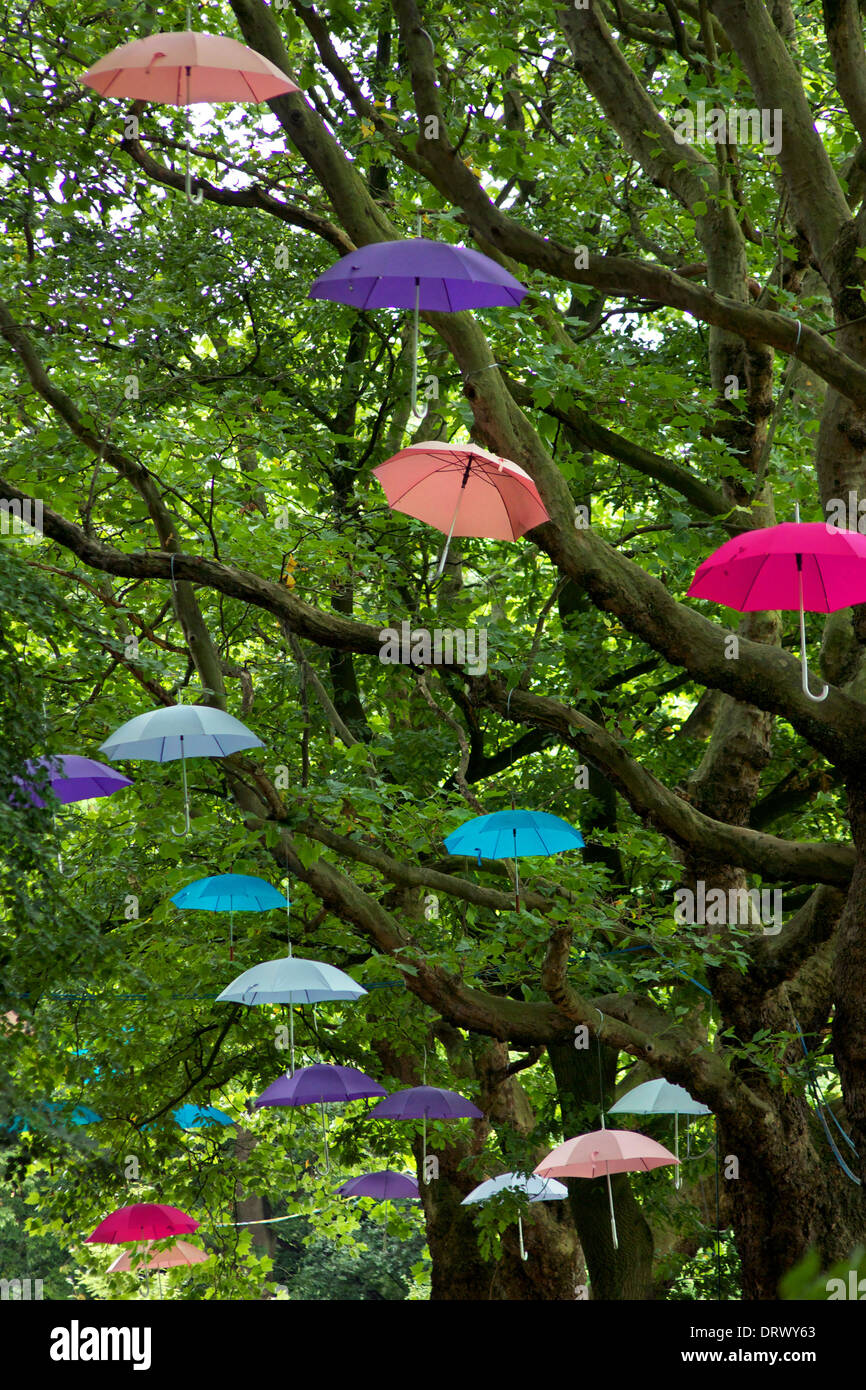 Multi-coloured umbrellas hanging from trees Stock Photo - Alamy
