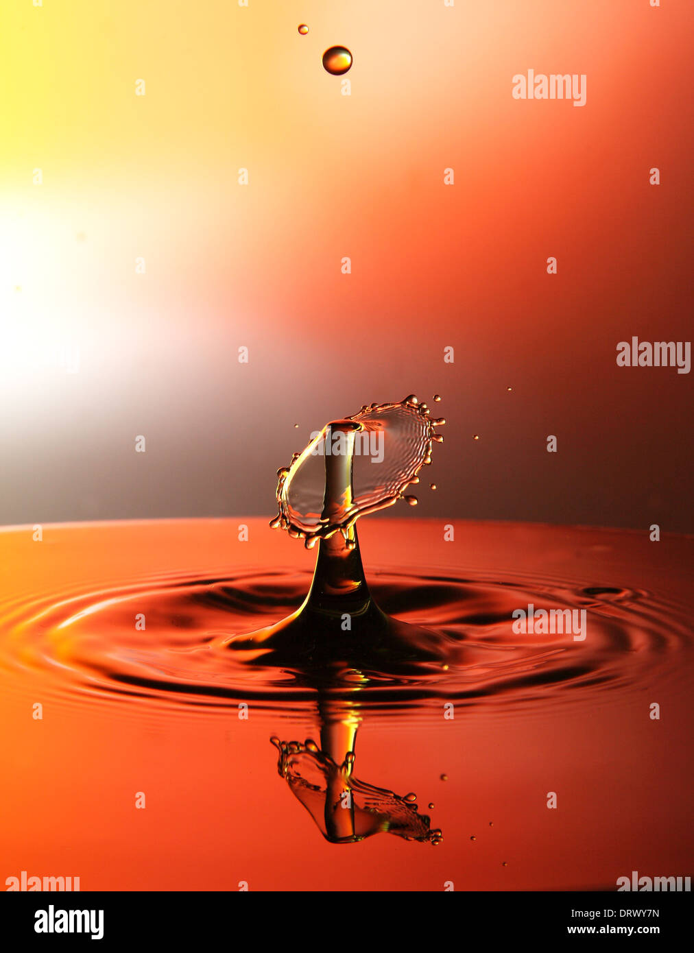 Wet drips drip water hi-res stock photography and images - Alamy