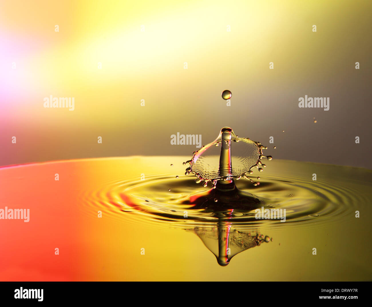 Water drip drips wet splash liquid hi-res stock photography and images ...