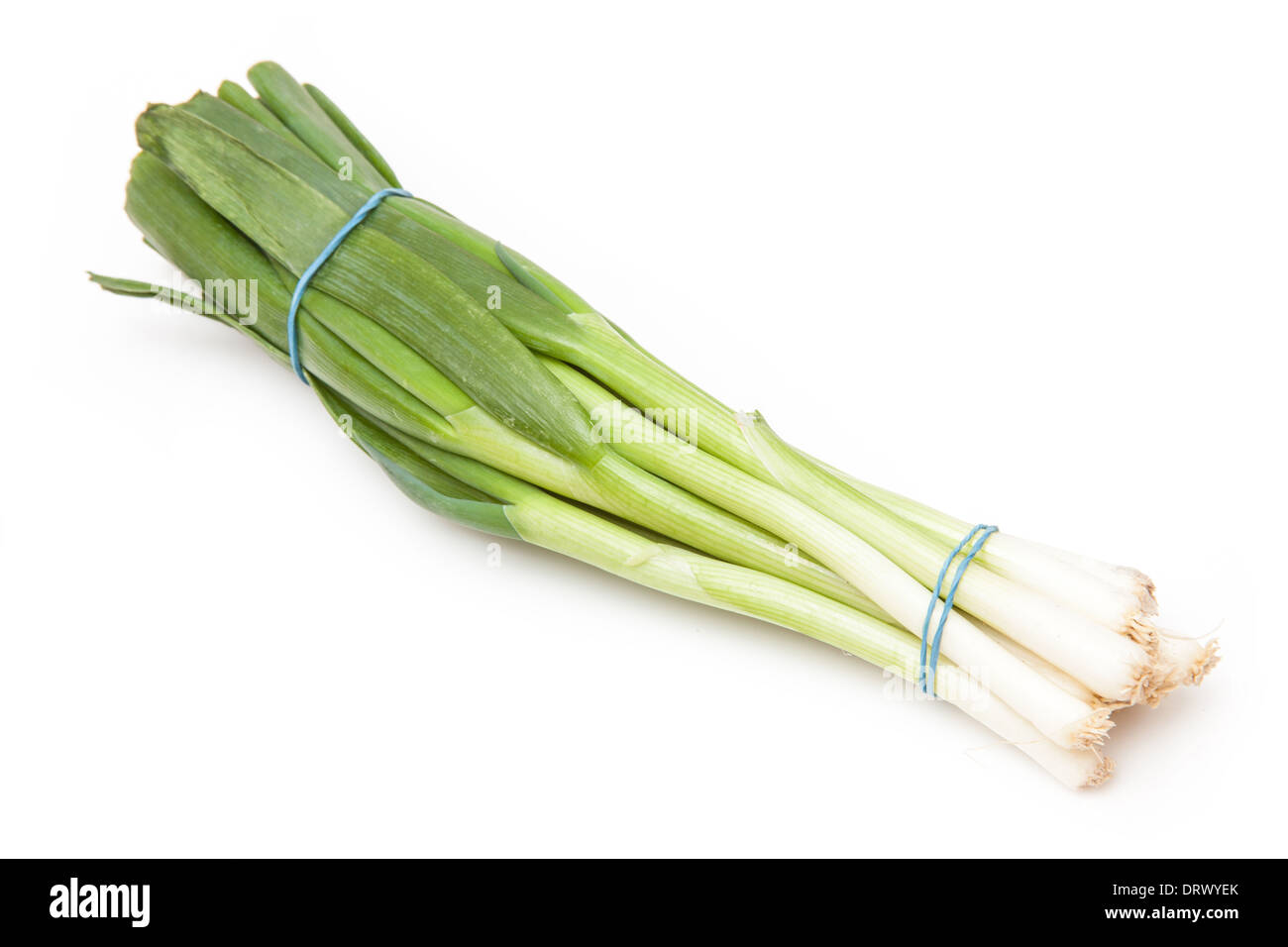 Spring onions isolated against a white studio background Stock Photo ...