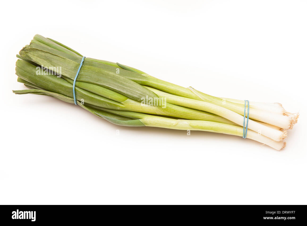Spring onions isolated against a white studio background Stock Photo ...