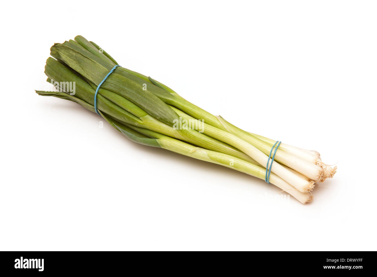 Spring onions isolated against a white studio background Stock Photo ...